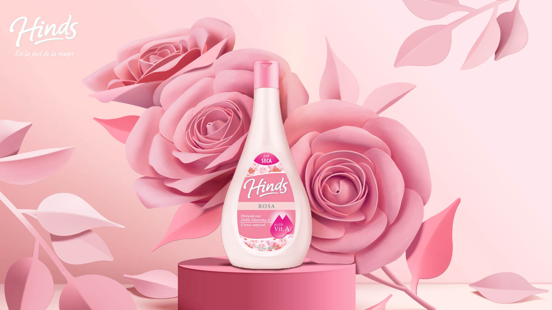 GSK | Cuarto Enfoque